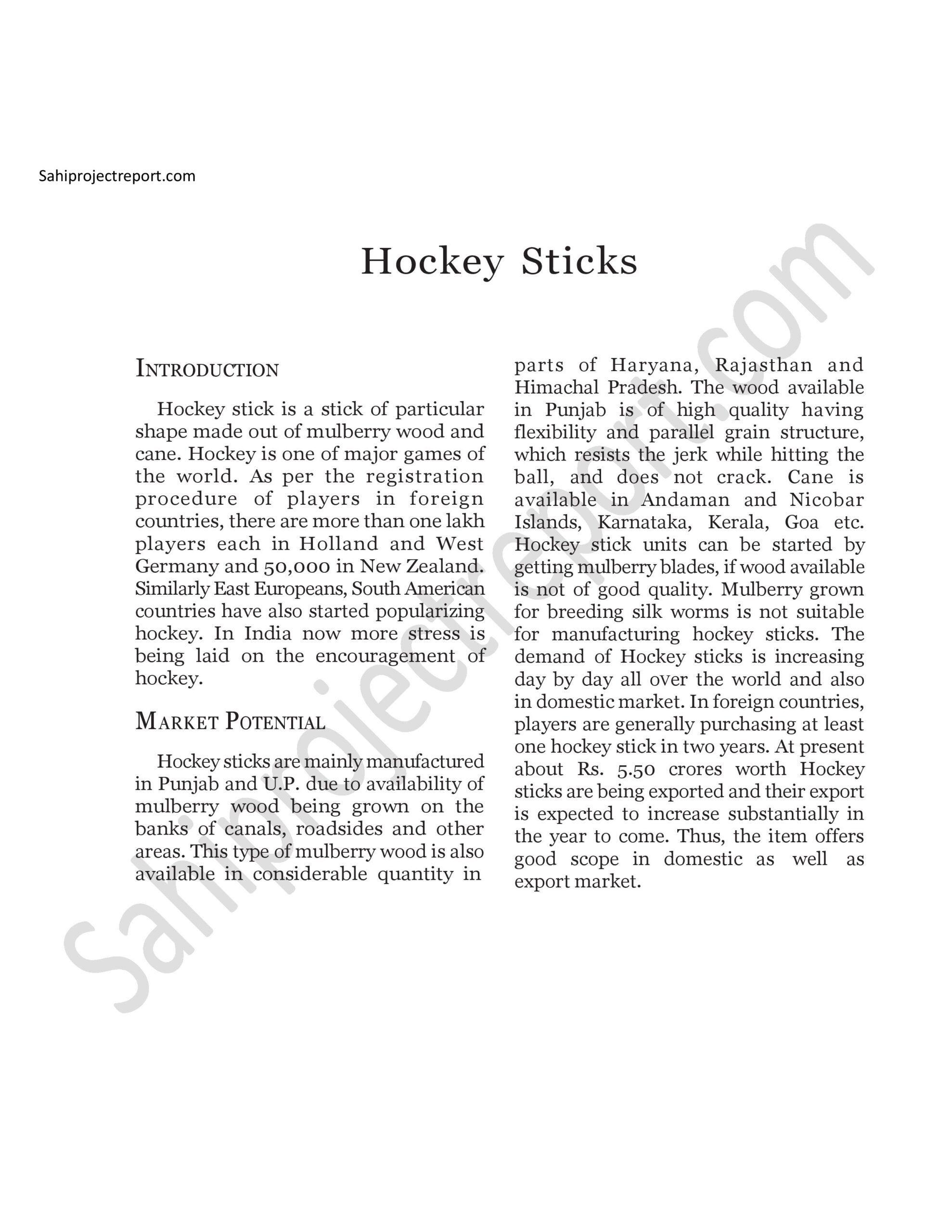 Sahi project report for Hockey Sticks - Sahi Project Report